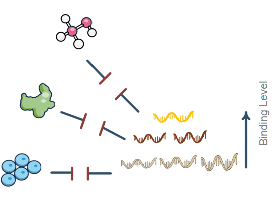 RNAscope: Benchmarking RNA Language Models for RNA Sequence Understanding
