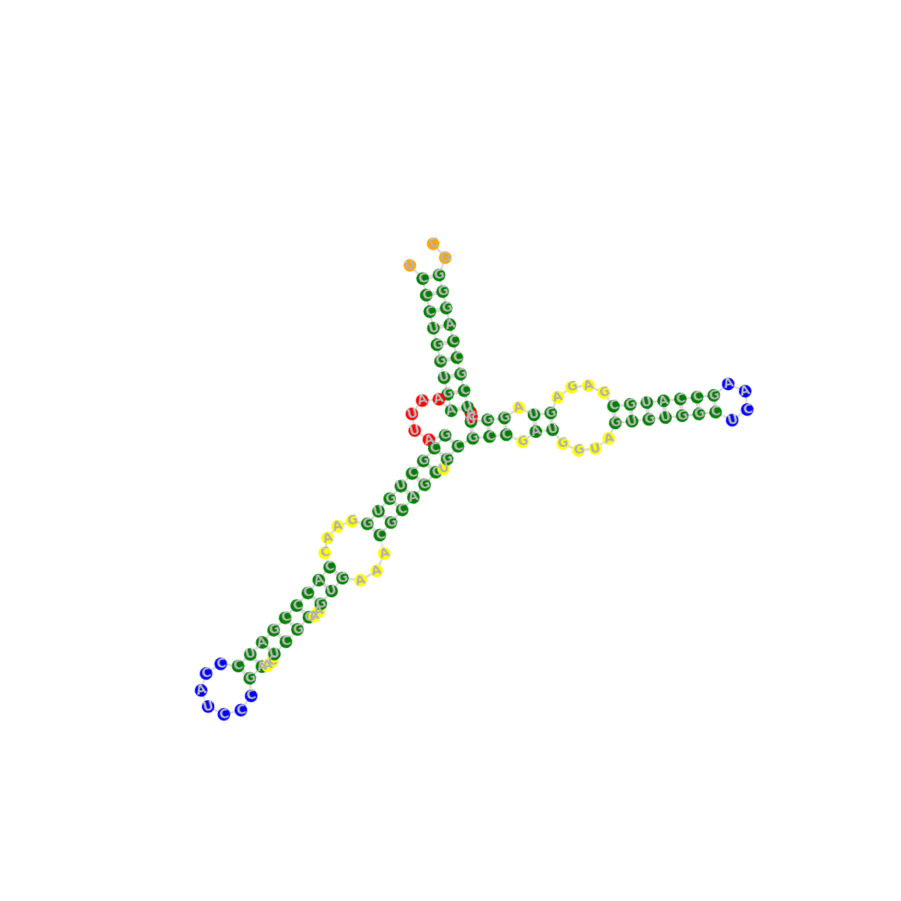 Rnascope Benchmarking Rna Language Models For Rna Sequence Understanding 7043